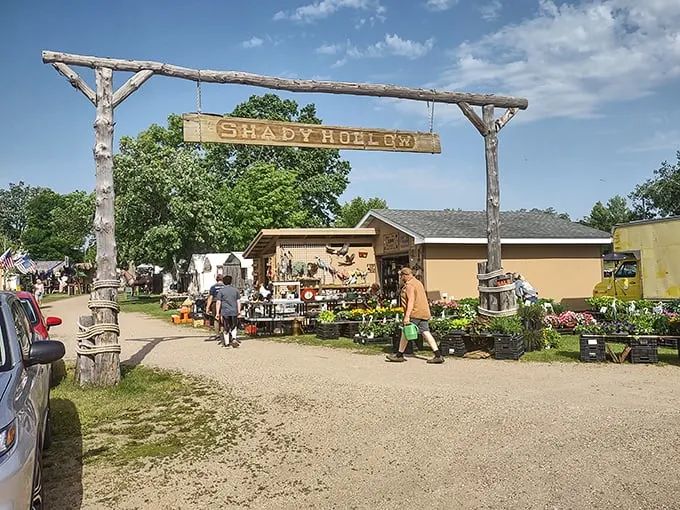 Welcome to Shady Hollow, where the only thing shadier than the name is the deals you'll find. Step into a world of wonder and whimsy!