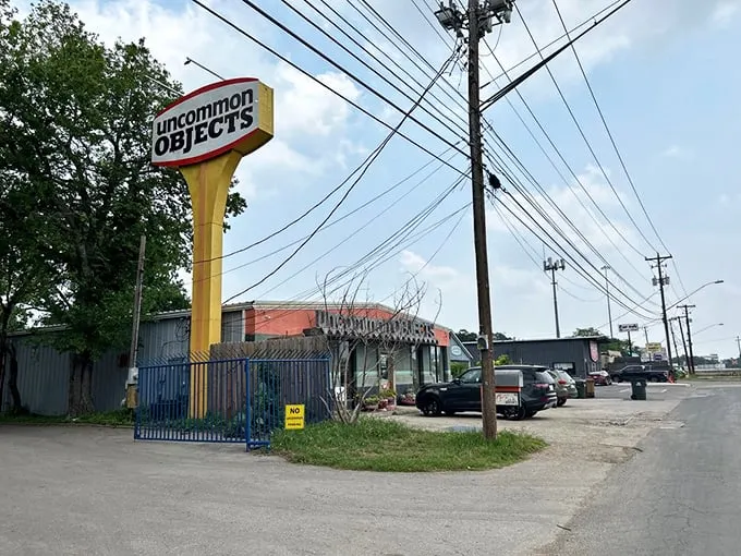 Around the corner, this unassuming exterior hides a labyrinth of curiosities that would make Indiana Jones jealous.