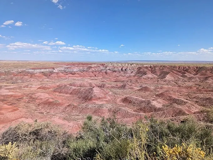 Fifty shades of red: Tiponi Point serves up a visual feast that would make even Georgia O'Keeffe reach for her paintbrush.