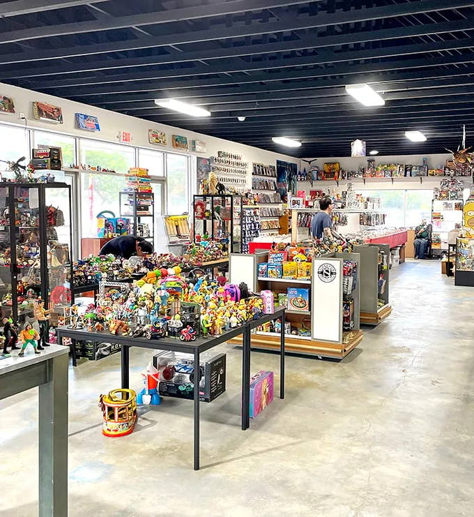 Step into a wonderland of nostalgia. This toy-packed paradise is where memories line the shelves and imagination runs wild.