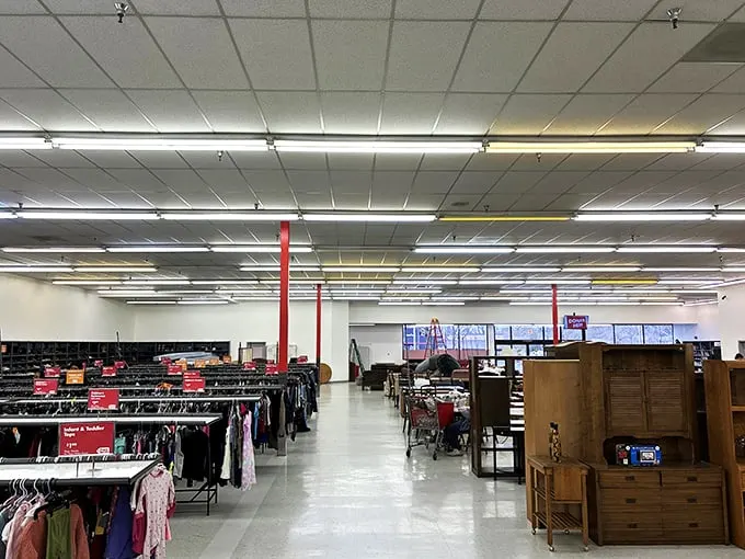 Step into a world where every aisle is a potential adventure. It's like Indiana Jones raided a department store clearance sale.