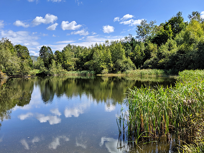 Mirror, mirror on the pond, who's the fairest view around? This tranquil oasis reflects Vermont's beauty like a landscape painter's dream come true.