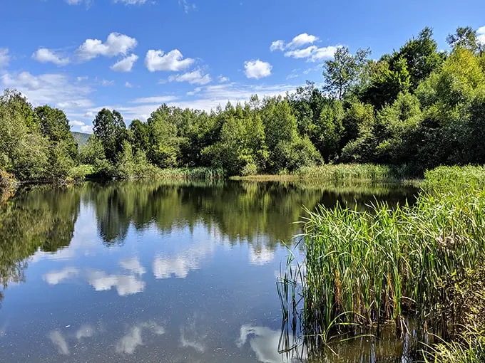 Mirror, mirror on the pond, who's the fairest view around? This tranquil oasis reflects Vermont's beauty like a landscape painter's dream come true.