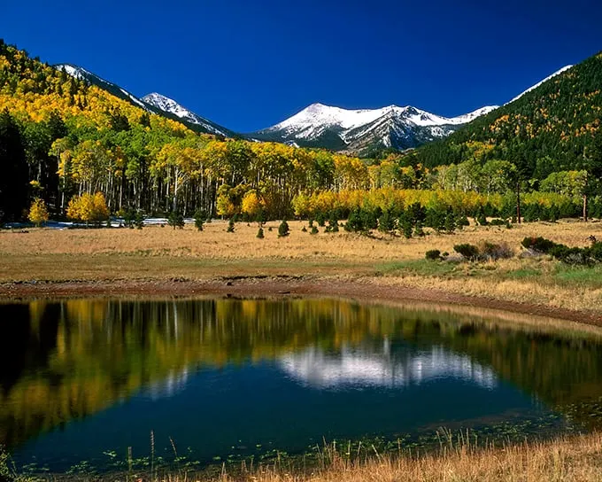 Talk about a volcanic reaction! Lockett Meadow's extinct caldera now erupts with color, especially when autumn paints the aspens.