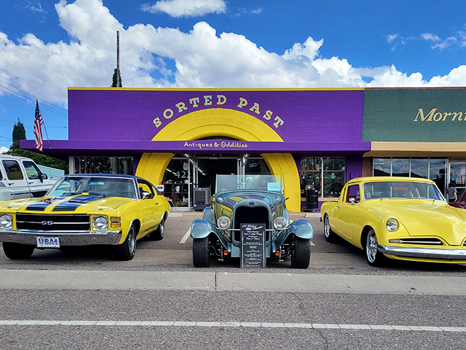At Sorted Past, every visit is like rummaging through your eccentric aunt's attic – if she were a time-traveling magpie with a flair for the bizarre.