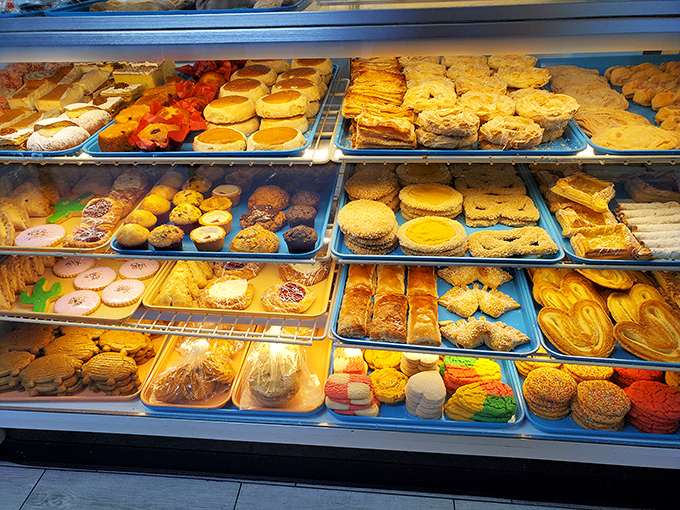 Behold the rainbow of Mexican pastries! It's like Willy Wonka went on vacation to Guadalajara and came back with some seriously delicious ideas.