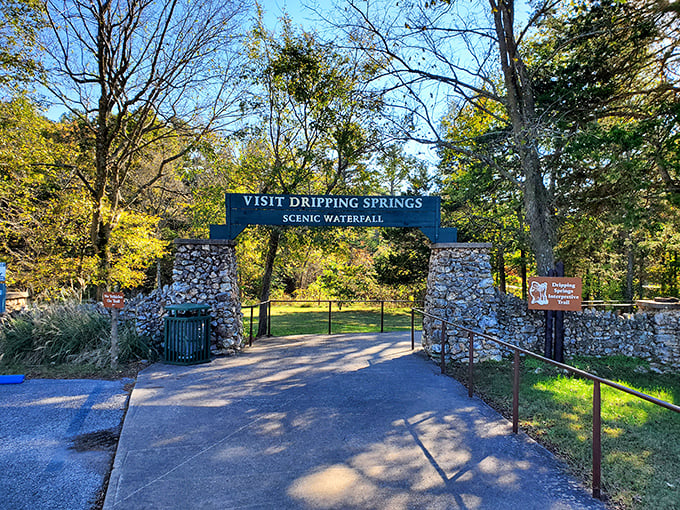 Step into a world where "Dripping Springs" isn't just a hipster coffee shop name.