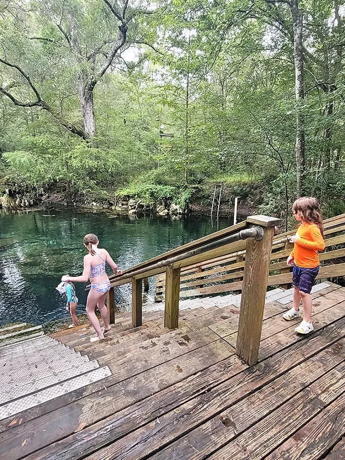 Stairway to heaven? Nope, just the path to Florida's best-kept secret. Dive into nature's own infinity pool!