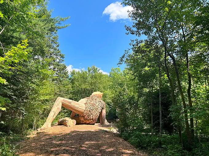 Is it a bird? Is it a plane? No, it's a giant wooden troll taking a forest nap! Benny's backside is a marvel of recycled artistry.