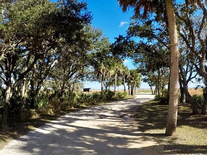 Follow the yellow brick road… or in this case, the sandy trail flanked by majestic palms and oaks. Oz has nothing on this!