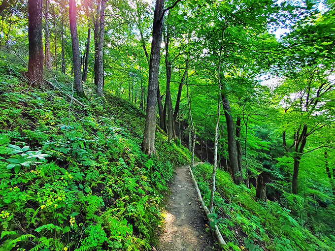 Follow the yellow brick… trail? This winding path through lush greenery is your ticket to Oz, Minnesota-style.