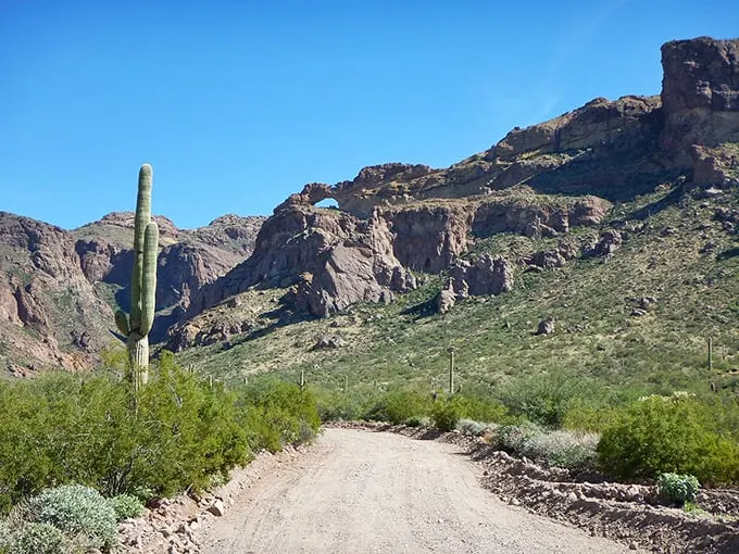 "Nature's own rock concert." Majestic saguaro cacti stand tall against rugged mountains, creating a landscape that's music to the eyes. No tickets required for this show!