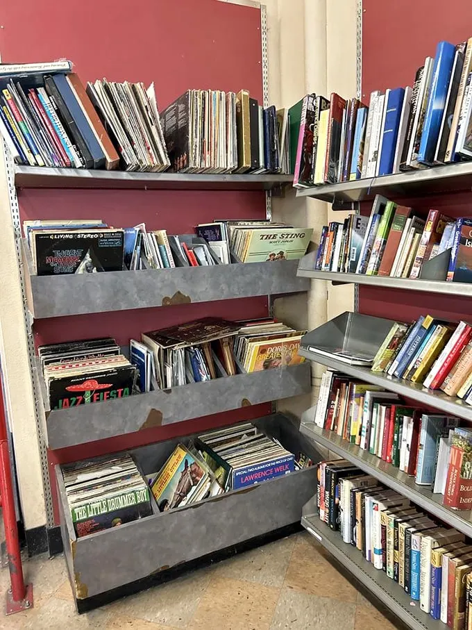 Vinyl enthusiasts, rejoice! This corner is a time machine for your ears, with forgotten hits and obscure gems waiting to be spun.