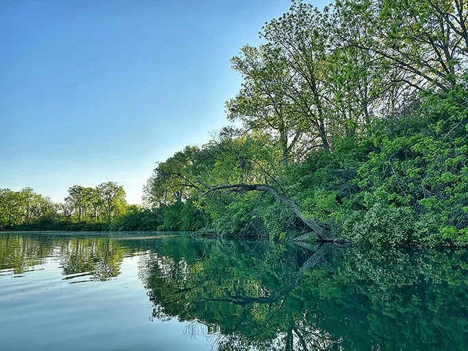 Mother Nature's mirror on full display. If this lake were any clearer, you'd see fish applying sunscreen.