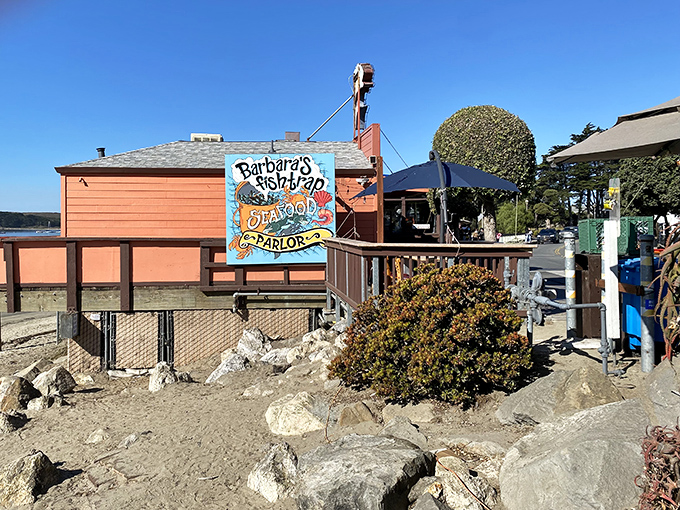 Barbara's Fishtrap: Where seafood dreams come true! This coral-colored gem looks like it was plucked straight from a beachcomber's fantasy.