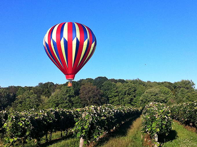 Up, up, and away! Debonné Vineyards takes "wine with a view" to new heights with their hot air balloon rides.