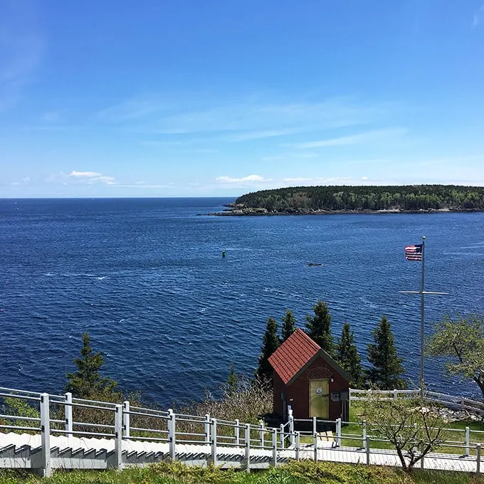 Postcard-perfect panorama: From Owls Head, the Atlantic stretches out like nature's own IMAX screen, no 3D glasses required.