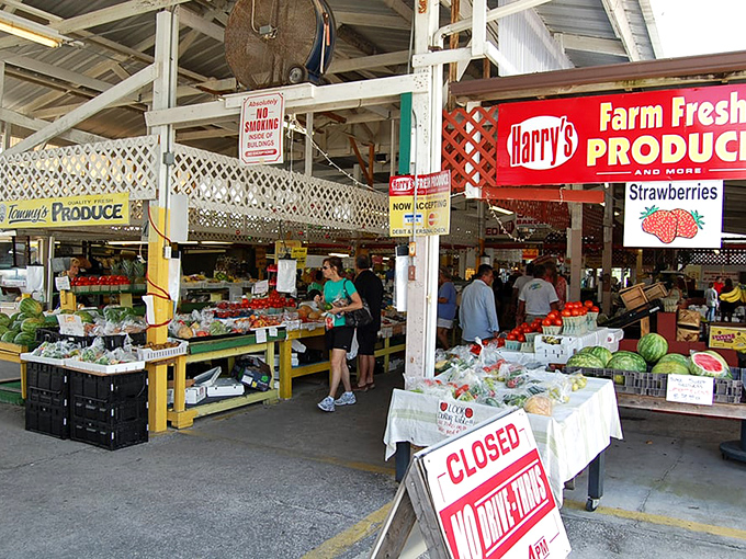 Farm-fresh flavors meet flea market frenzy! Harry's Produce stand is where your taste buds and wallet become best friends.