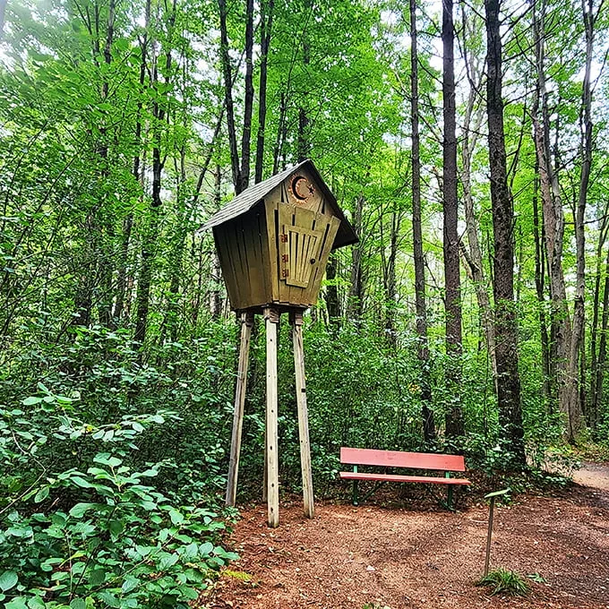 Is it a birdhouse on steroids or a treehouse for squirrels with expensive taste? Either way, this quirky creation adds charm to the forest.