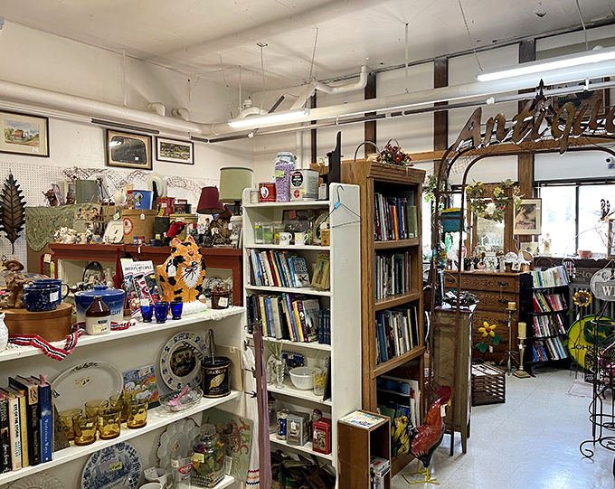 Bookworms, rejoice! This literary labyrinth is where paperbacks go to party and hardcovers find their happily ever after.