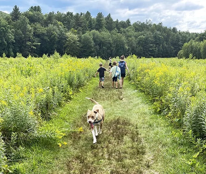 Follow the yellow brick… trail? This golden path through wildflowers isn't oz, but it's certainly wonderful. Dorothy would approve of these ruby-red sneakers.