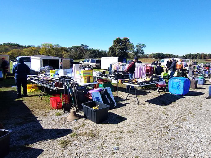 From farm-fresh eggs to vintage cowboy boots, this market's got more range than a country music star's discography. Time to mosey on down!