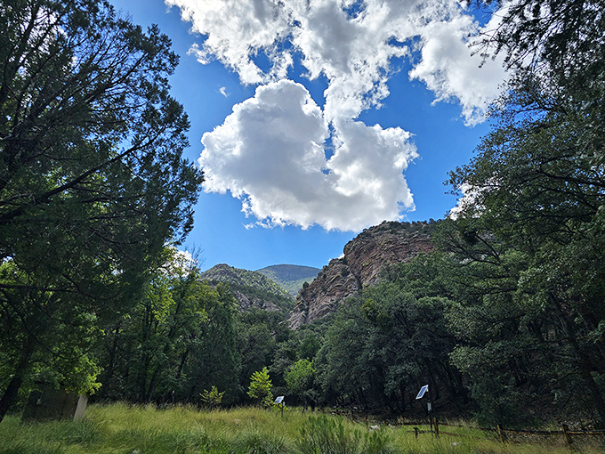 Canyon walls, babbling brooks, and more biodiversity than a nature documentary. Ramsey Canyon is Arizona's all-in-one outdoor adventure.