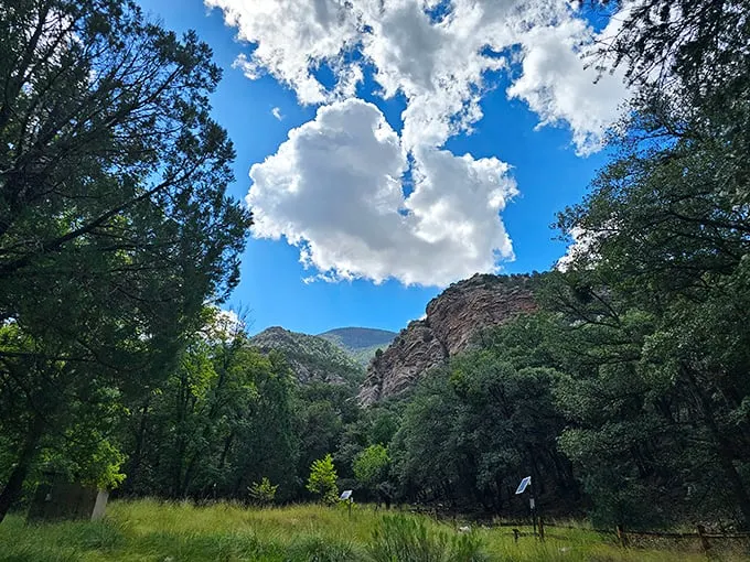 Canyon walls, babbling brooks, and more biodiversity than a nature documentary. Ramsey Canyon is Arizona's all-in-one outdoor adventure.