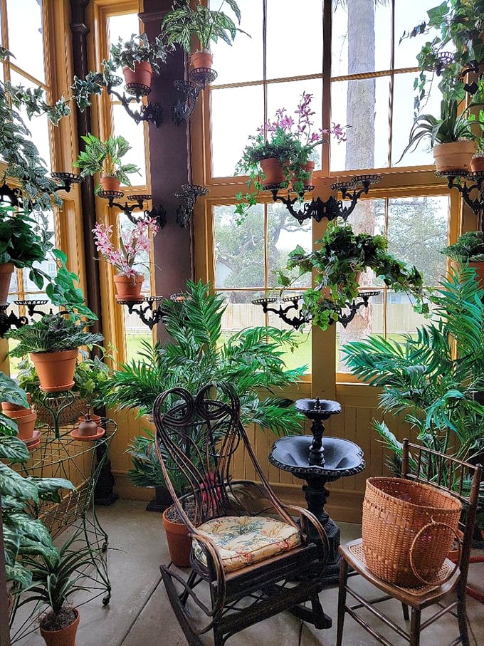 Who needs a greenhouse when you can have this indoor jungle? It's like Jumanji meets Victorian tea party – just don't expect any board games to come to life!
