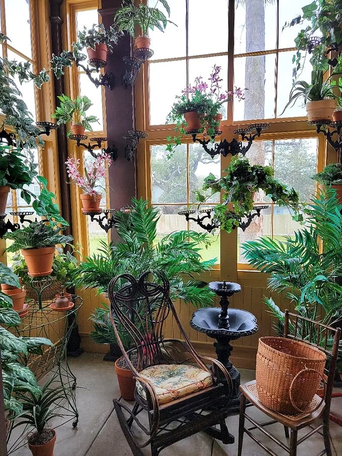 Who needs a greenhouse when you can have this indoor jungle? It's like Jumanji meets Victorian tea party – just don't expect any board games to come to life!