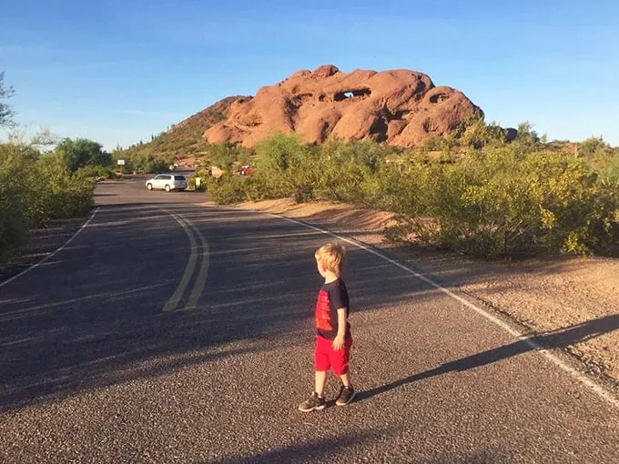 The road less traveled? Not today! Papago Park's scenic drive is like a red carpet for nature enthusiasts, complete with VIP seating for rock formations.