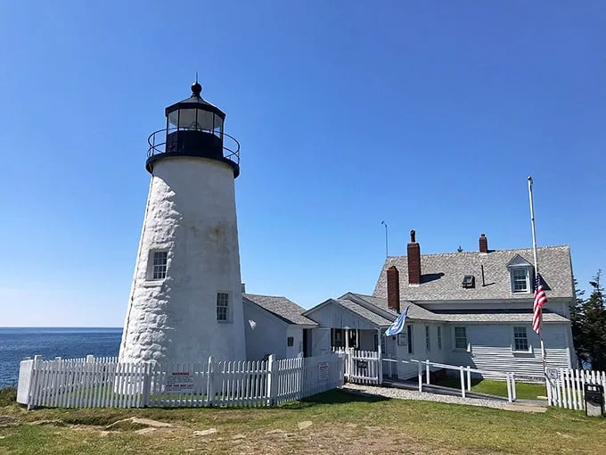 Up close and personal with a Maine icon. This lighthouse has more layers than your grandma's winter wardrobe – each one with a story to tell.