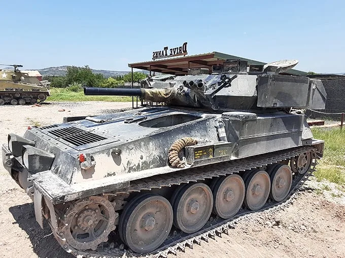 Honey, I shrunk the army! This pint-sized powerhouse looks ready to conquer your backyard – or at least terrorize the neighborhood squirrels.