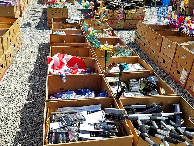 One person's junk is another's treasure trove. These display boxes are like archaeological digs for the modern bargain hunter.