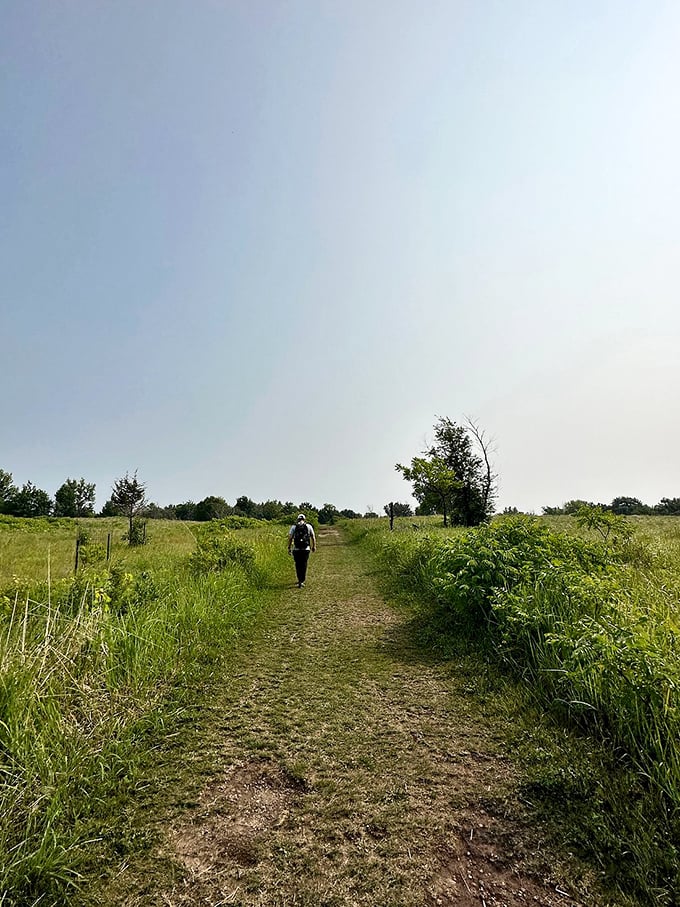 The path less traveled… but way more interesting. This trail's got more twists than a soap opera marathon.