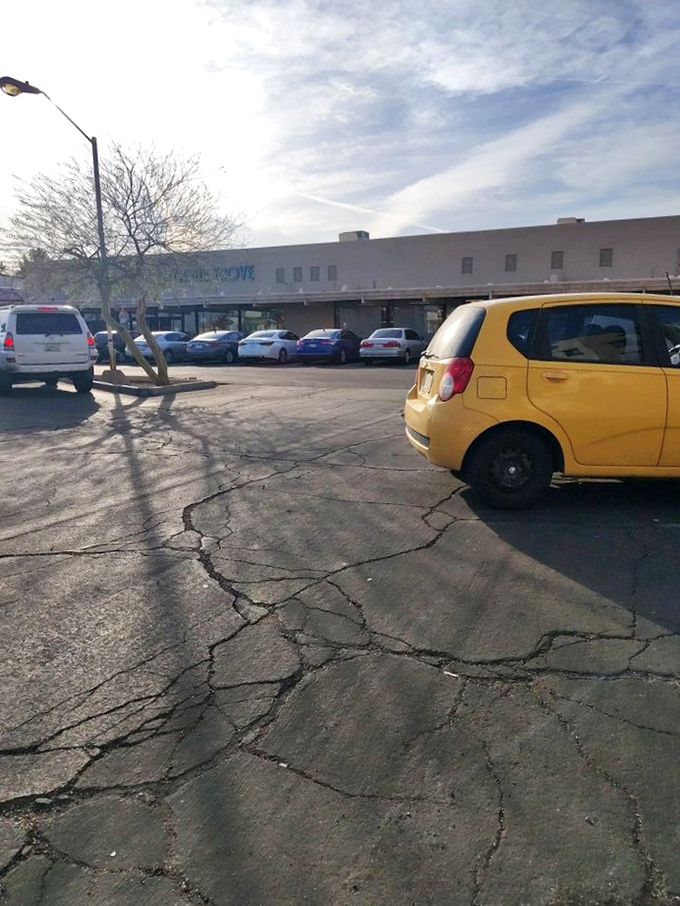 Antique Trove: Scottsdale's time machine disguised as a store! Where you can touch, feel, and potentially buy pieces of history – just don't sneeze!