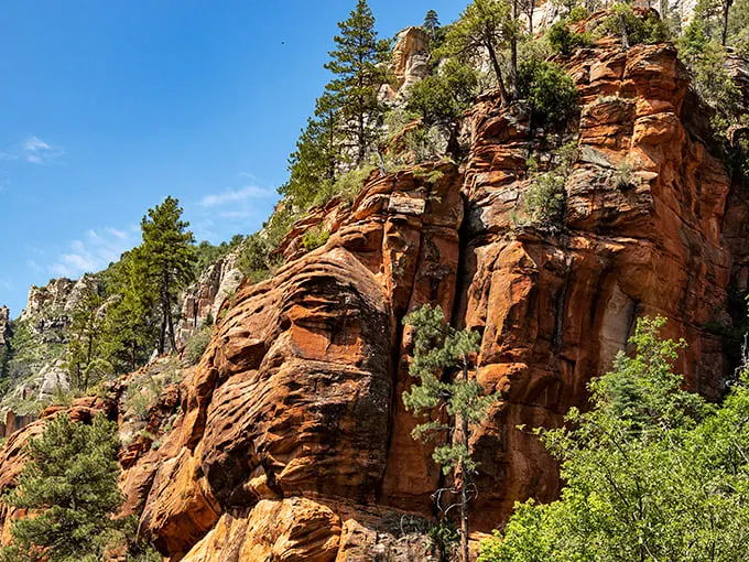 West Fork Trail: Sedona's natural water park! Crisscrossing creeks and towering red rocks make for a hike that's part splash, part spectacle.