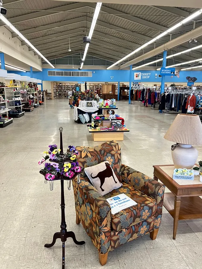Peek inside the Animal Humane Thrift Shop, where every purchase is a pat on the back for our four-legged friends.