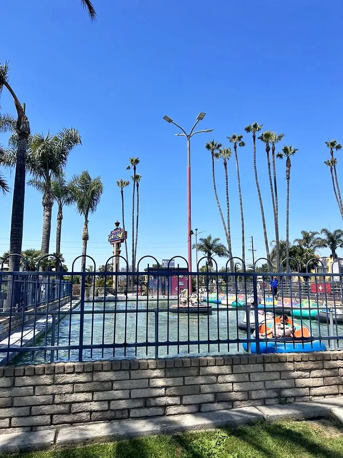 Splash into fun with these bumper boats! It's like bumper cars met synchronized swimming – chaotic, wet, and utterly delightful.