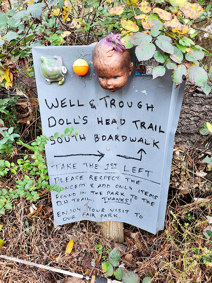 Choose your own adventure! This handcrafted sign offers directions with a side of sass – perfect for those who like their hikes with a twist.