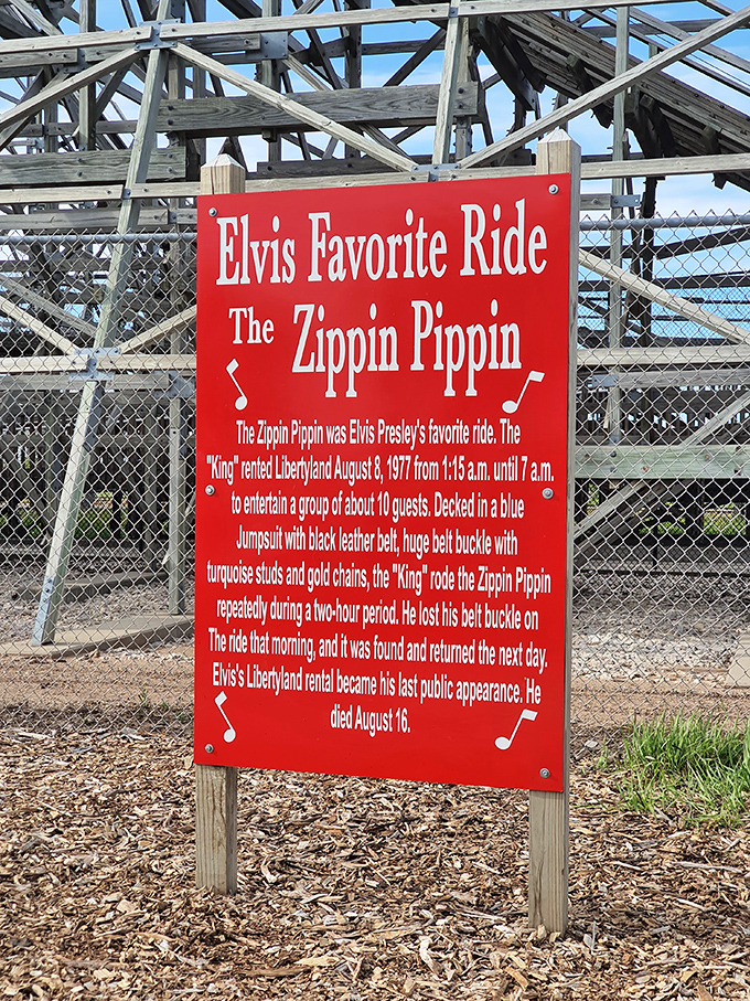 Elvis's favorite ride? You betcha! The King himself couldn't resist this wooden chariot of joy. Blue suede shoes optional.