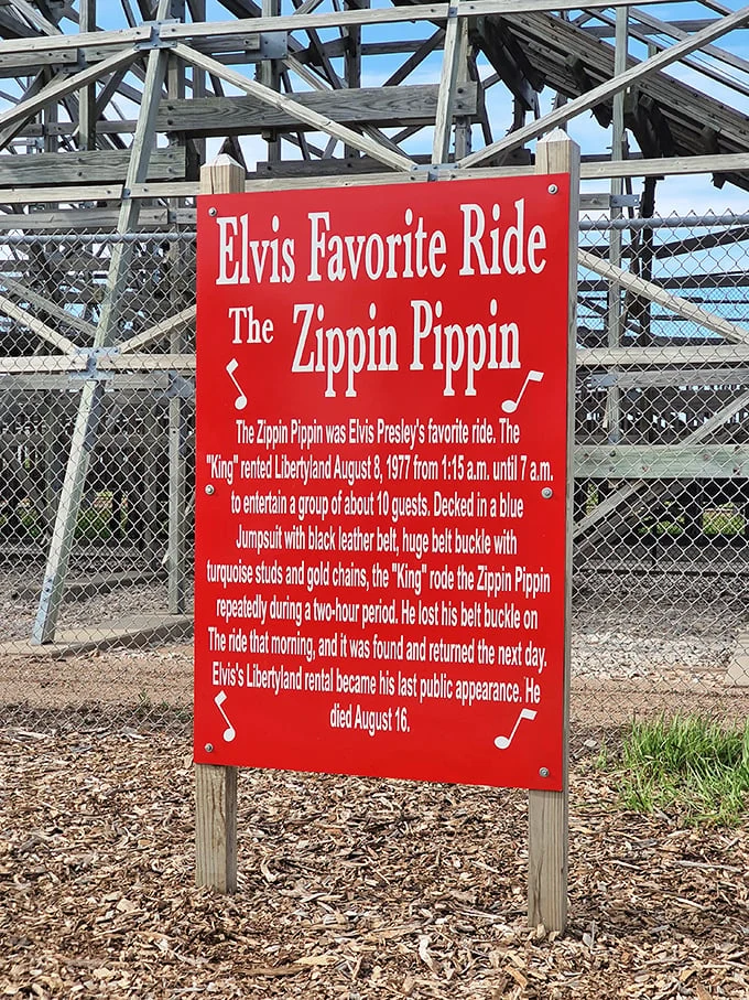 Elvis's favorite ride? You betcha! The King himself couldn't resist this wooden chariot of joy. Blue suede shoes optional.