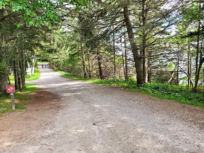 The road less traveled... by car. This picturesque trail to Owls Head is like Maine's version of the yellow brick road.
