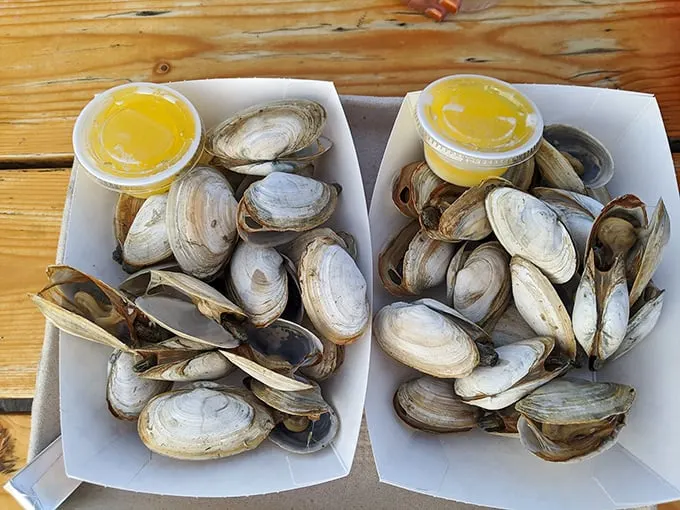Clams: nature's little treasures from the deep. These bivalves are ready for their close-up – and your taste buds.