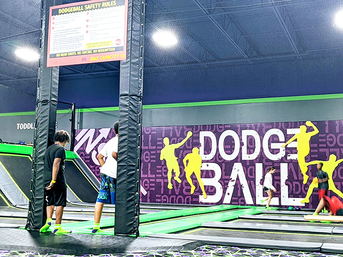 Dodgeball: where childhood dreams and adult knees collide. May the odds be ever in your favor!