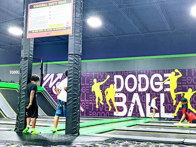 Dodgeball: where childhood dreams and adult knees collide. May the odds be ever in your favor!