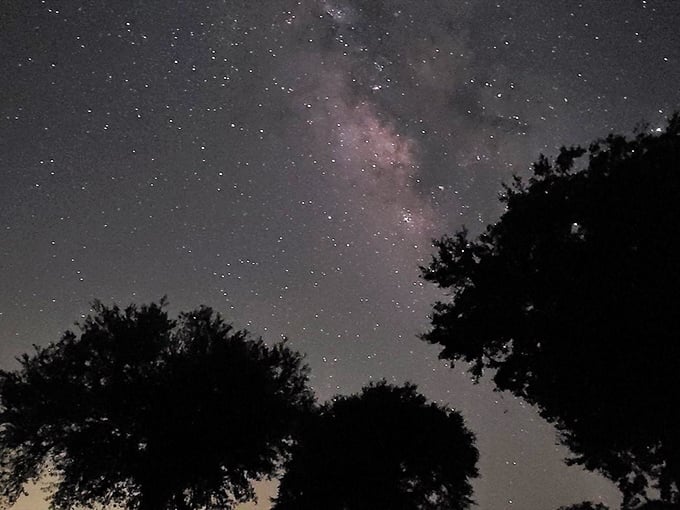 Stargazers, rejoice! This celestial show puts even the most dazzling fireworks display to shame. No Mickey ears required!