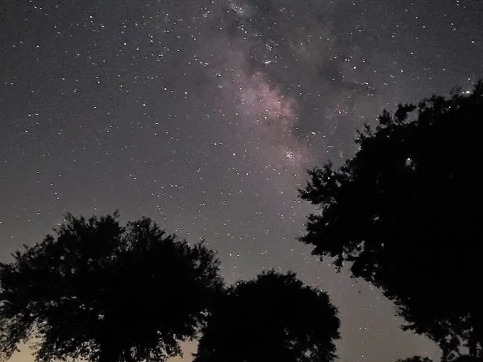 Stargazers, rejoice! This celestial show puts even the most dazzling fireworks display to shame. No Mickey ears required!
