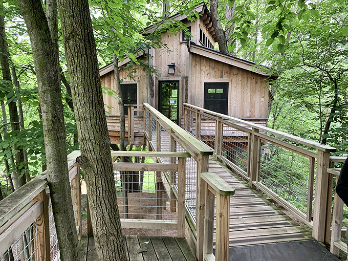 Hobbit hole or nature center? Either way, it's the coziest spot to hide from any lurking dragons.