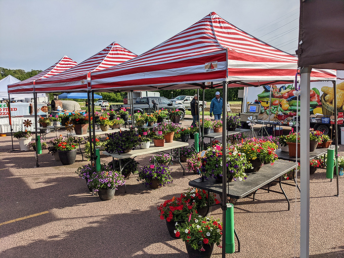 A rainbow you can eat! This flower stand is so vibrant, it makes a box of crayons look dull.